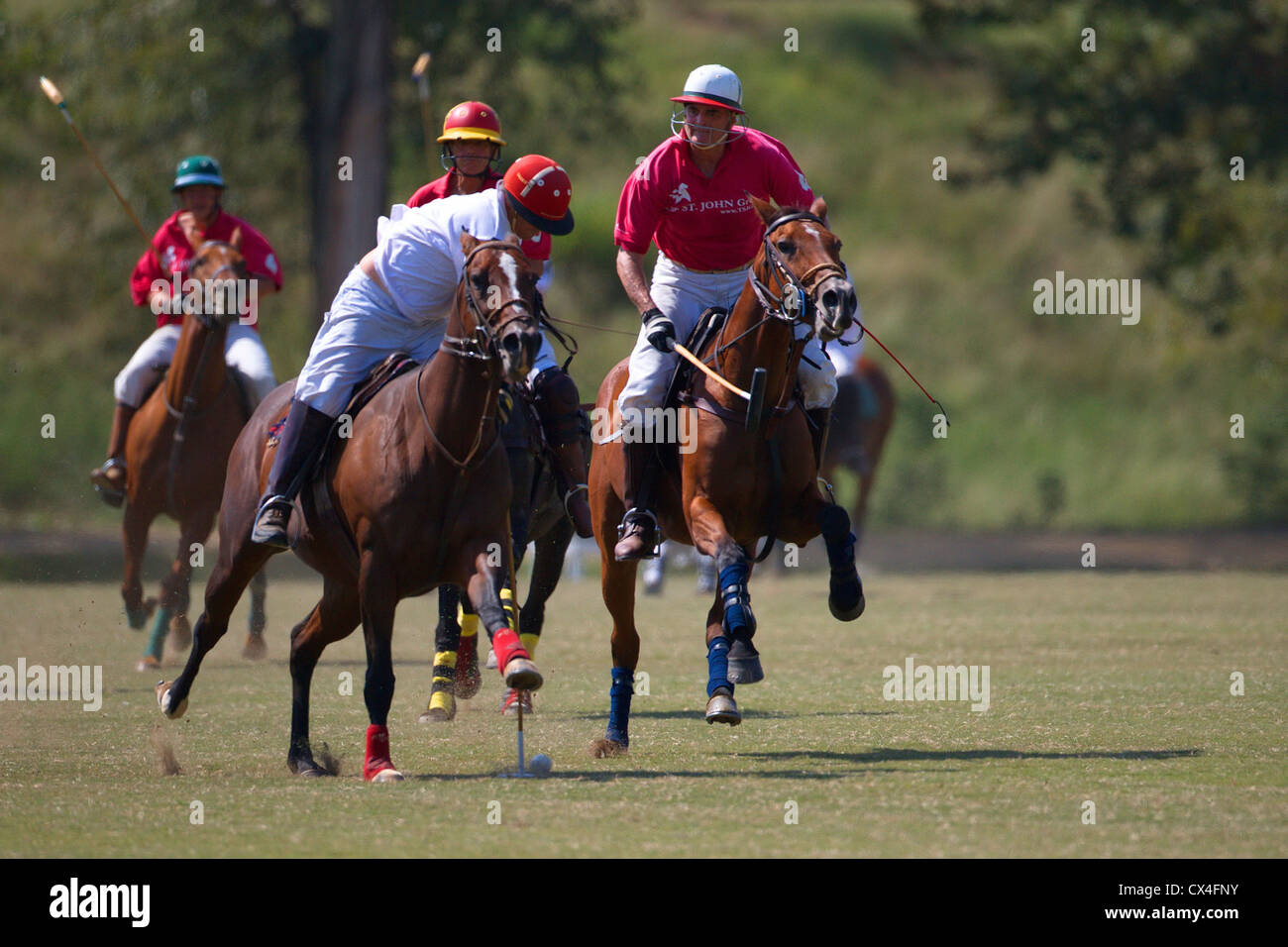 Polo Match at Atlanta Regional Polo Center - September 2012 Stock Photo - Alamy