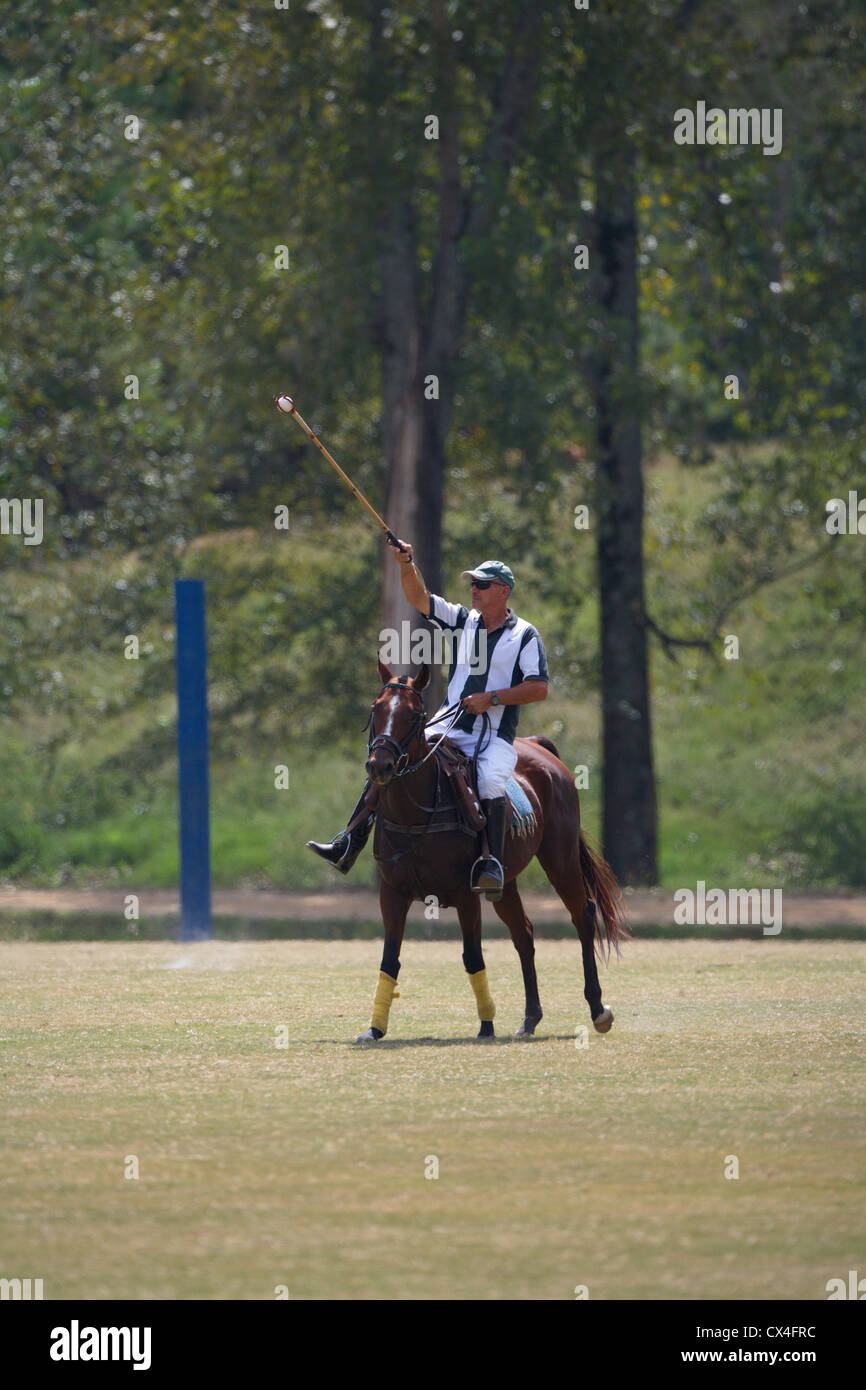 Polo Match at Atlanta Regional Polo Center - September 2012 Stock Photo ...