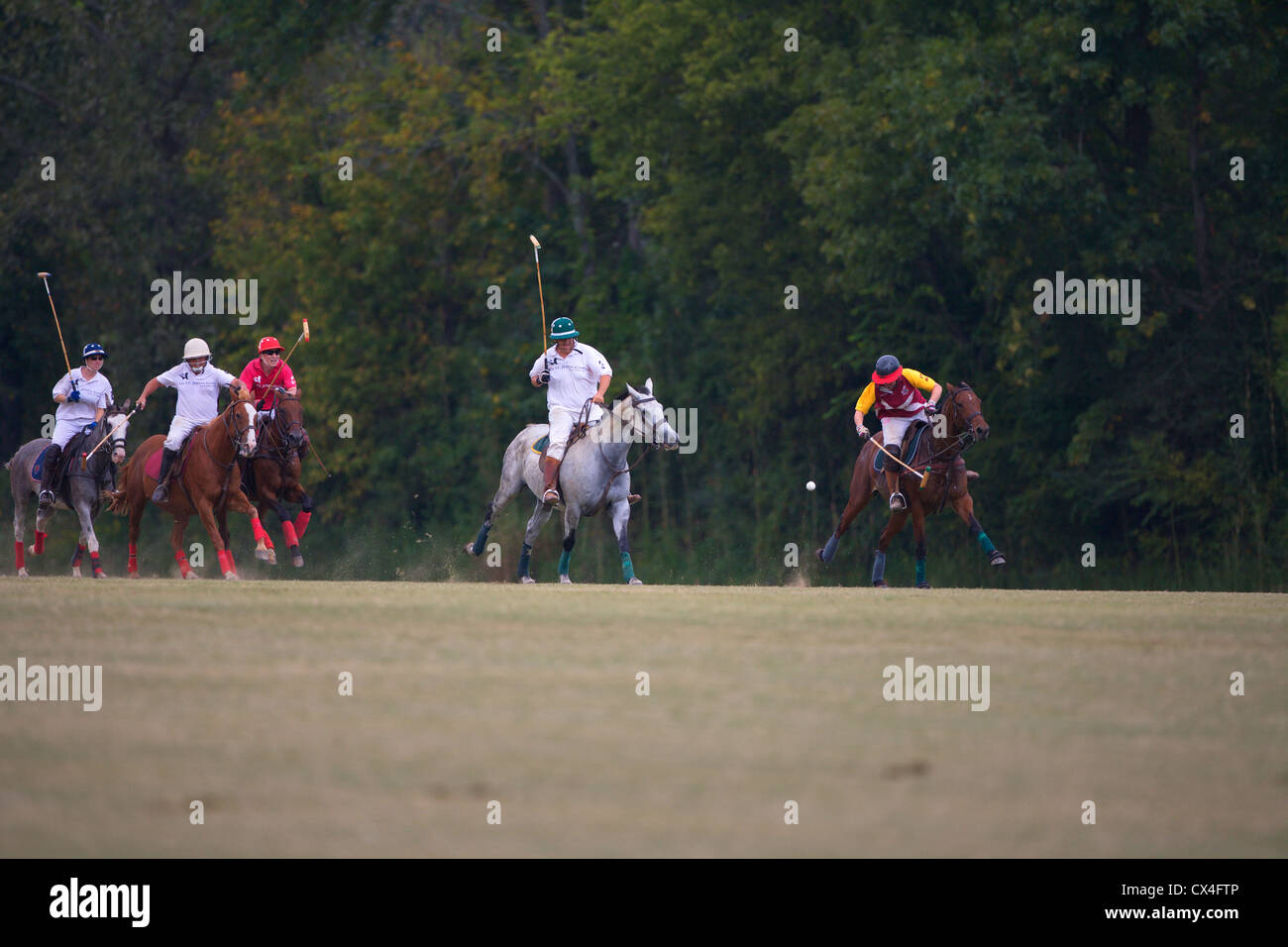 Polo Match at Atlanta Regional Polo Center - September 2012 Stock Photo - Alamy