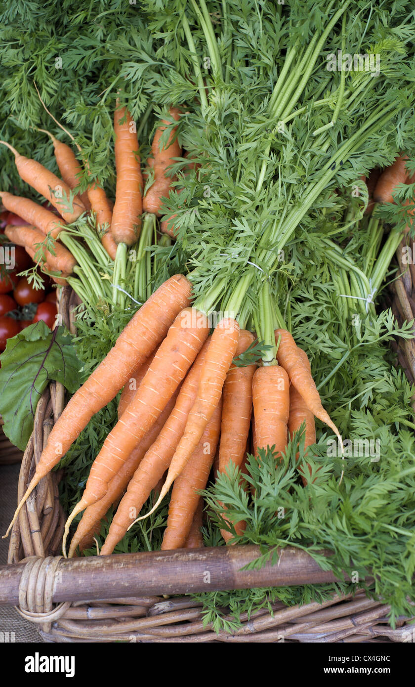 Bunch of fresh Carrots with green tops Stock Photo - Alamy