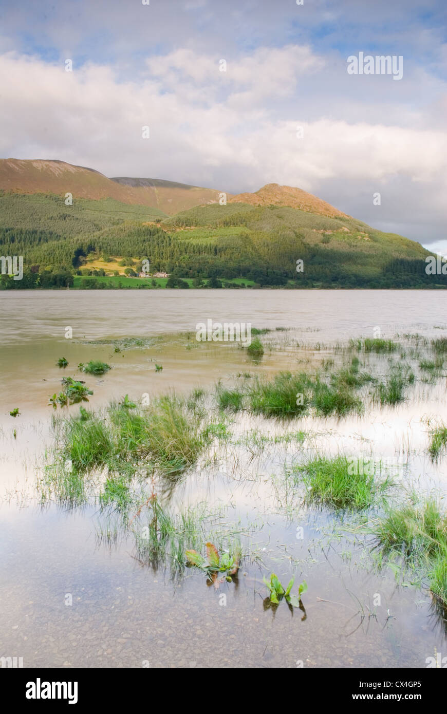 Bassenthwaite Lake, English Lake District, England, UK Stock Photo - Alamy
