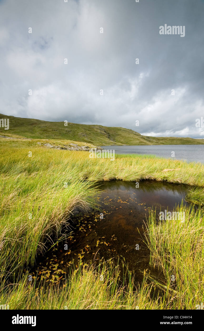 Blea Tarn in the English Lake District, UK Stock Photo - Alamy