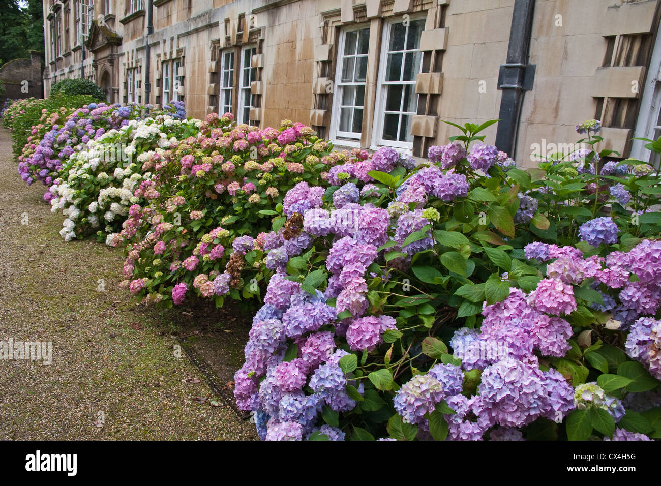 Garden border hi-res stock photography and images - Alamy