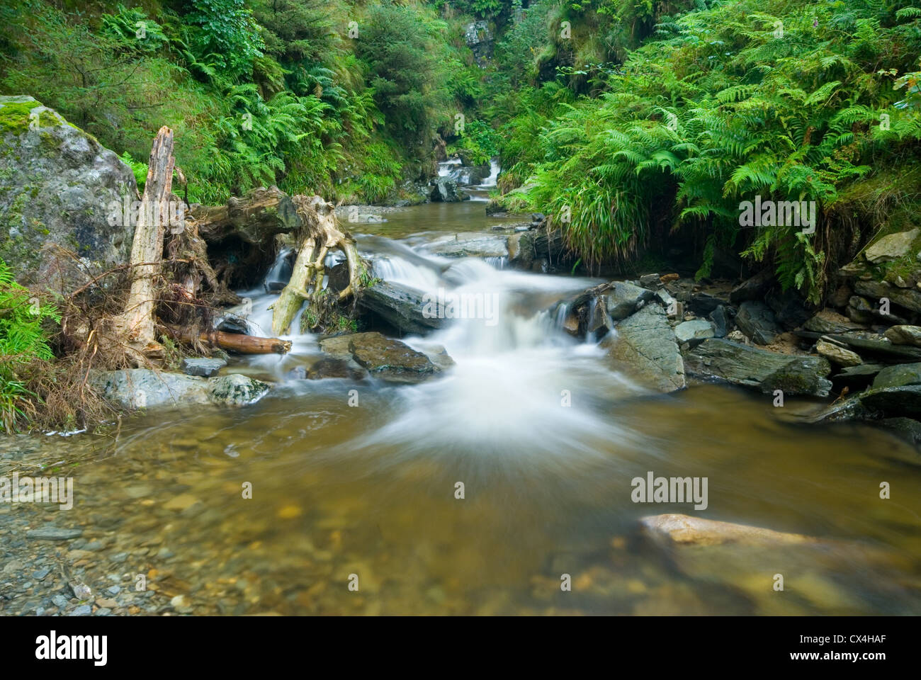 Spout Force, Lake District, England, UK Stock Photo - Alamy