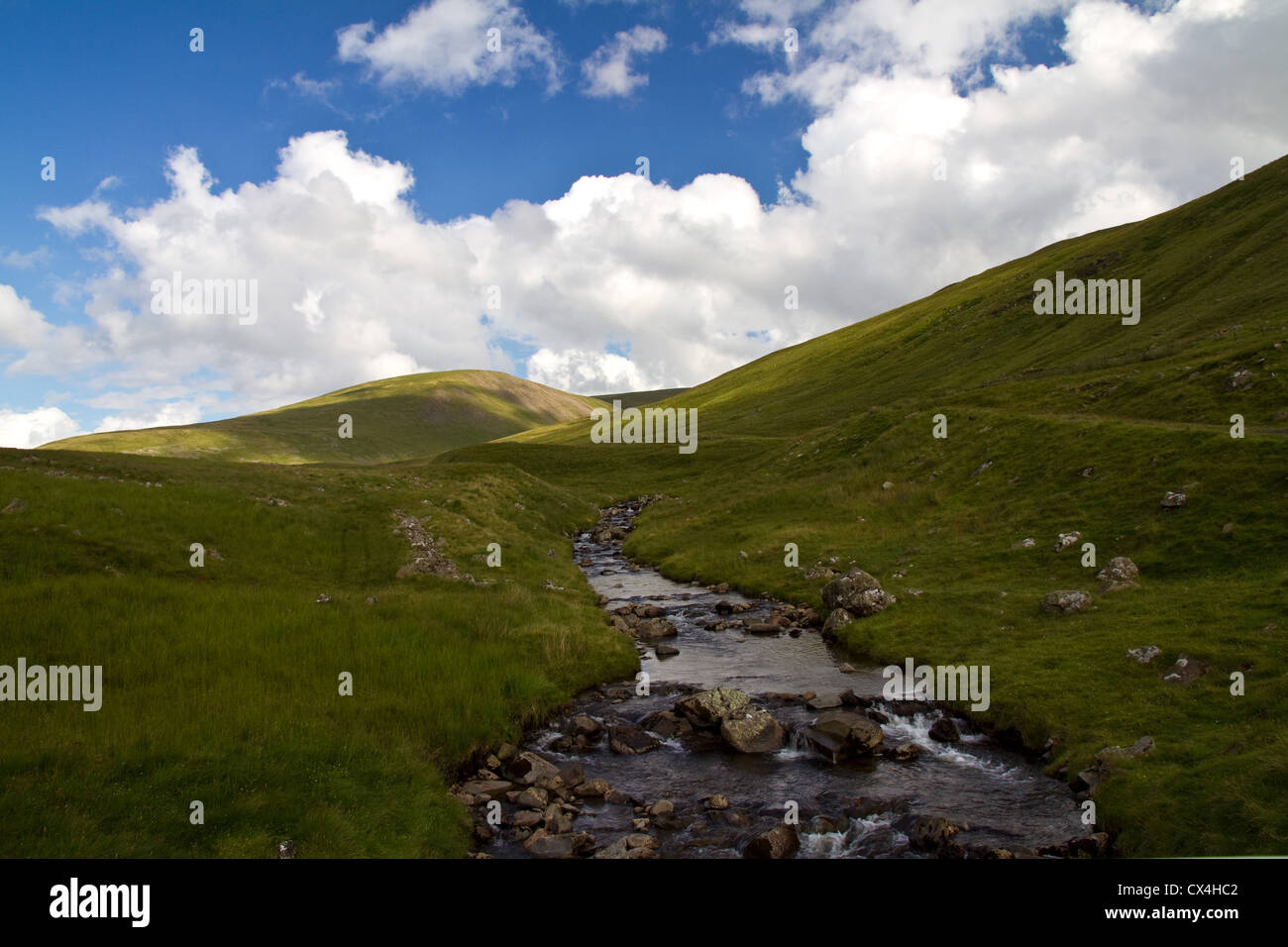 A mountain stream feeding the Talla reservoir flows through moorland in ...