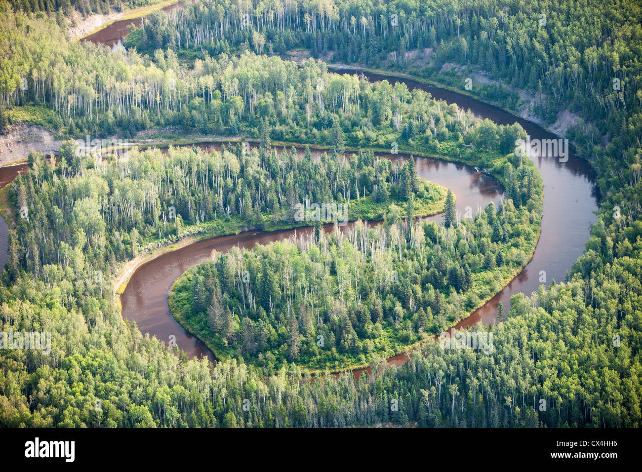 Boreal forest in Northern Alberta, Canada near Fort McMurray Stock ...