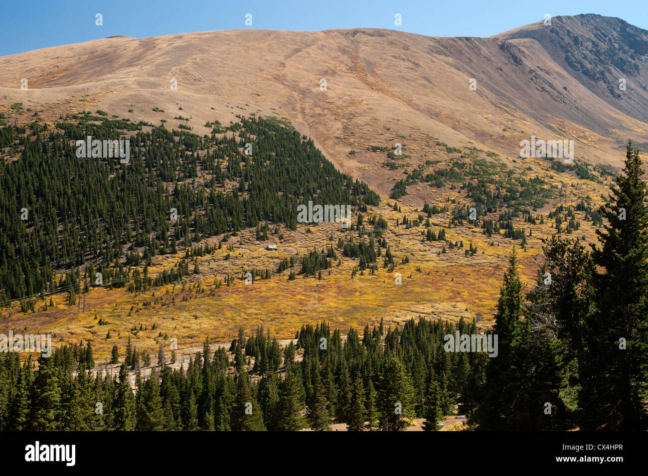 An old miner's shack in Leavenworth Gulch near Georgetown Colorado ...