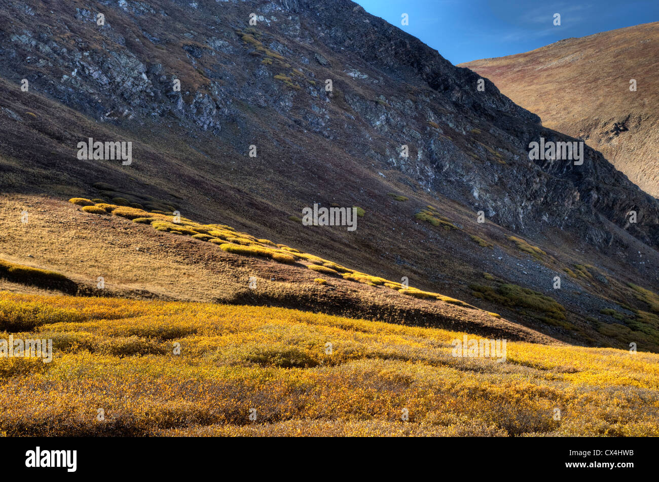 Cliffside above timberline, Colorado Rockies Stock Photo - Alamy