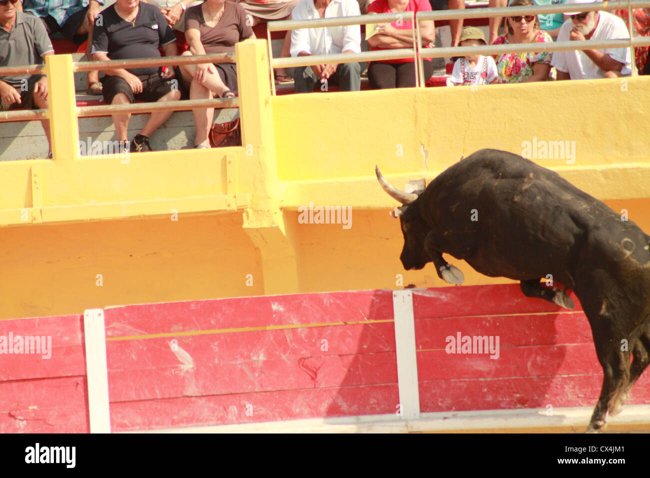 Bull leaping hi-res stock photography and images - Alamy