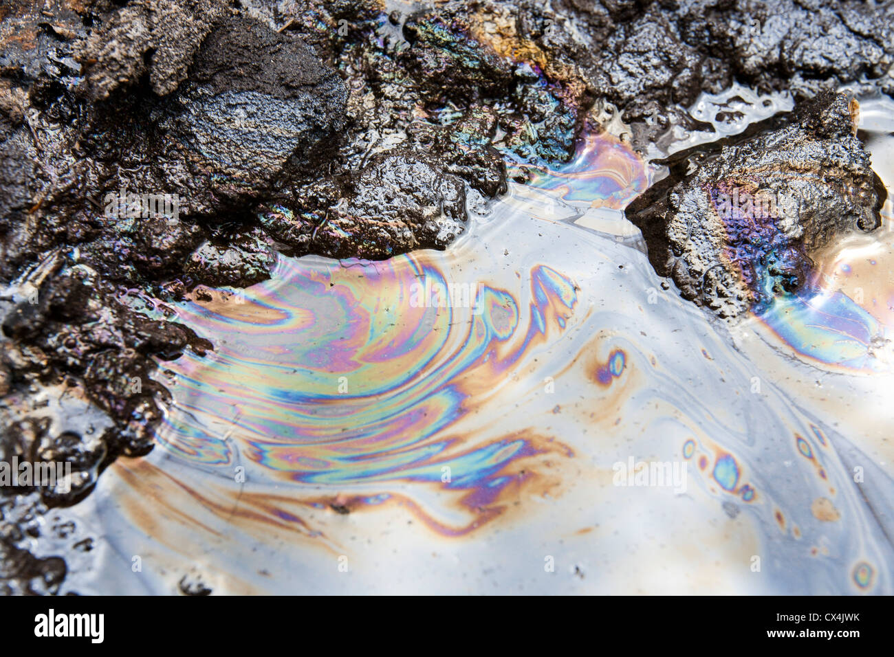 The tar sands are the largest industrial project on the planet, and the ...