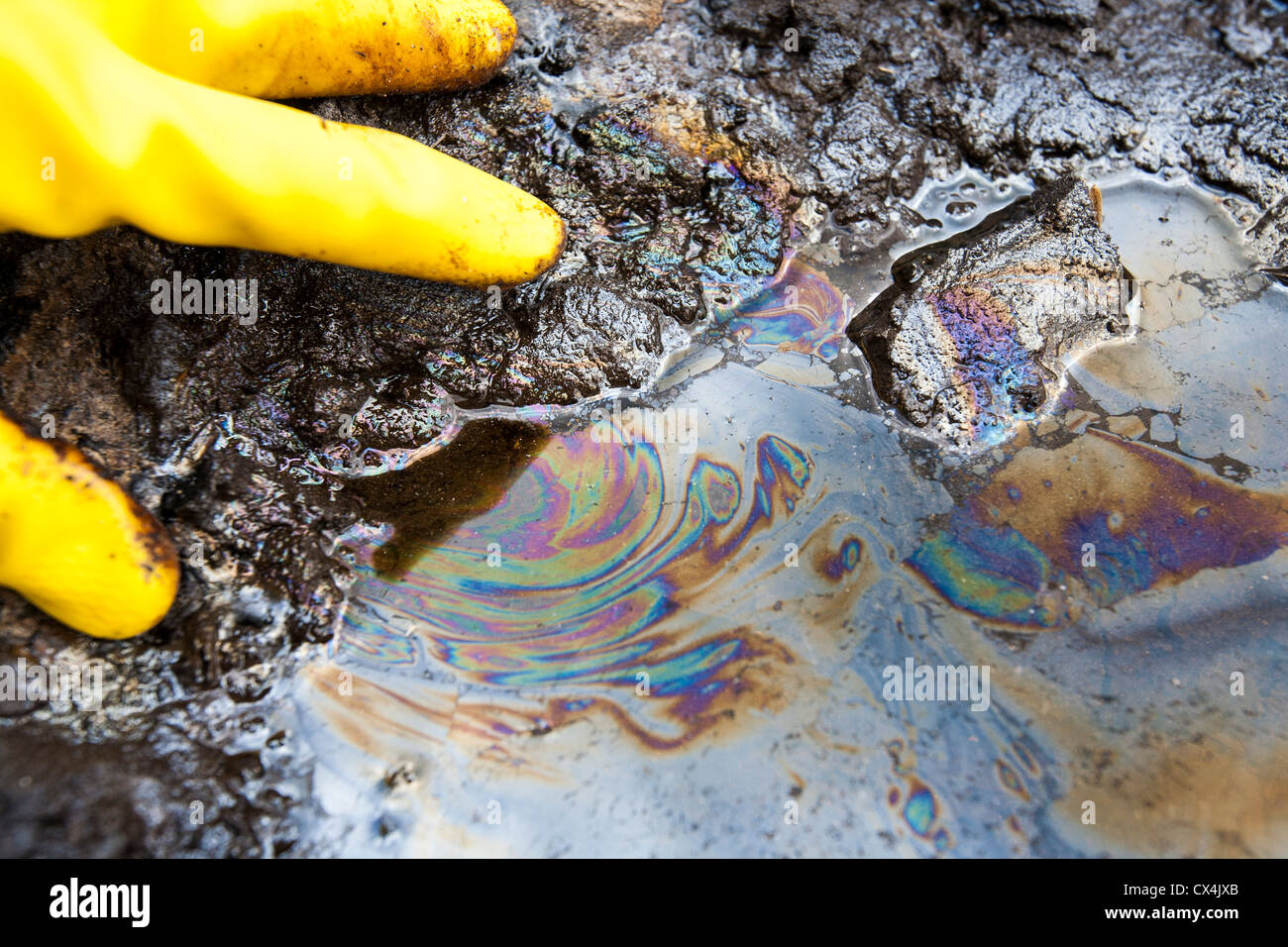 The tar sands are the largest industrial project on the planet, and the ...