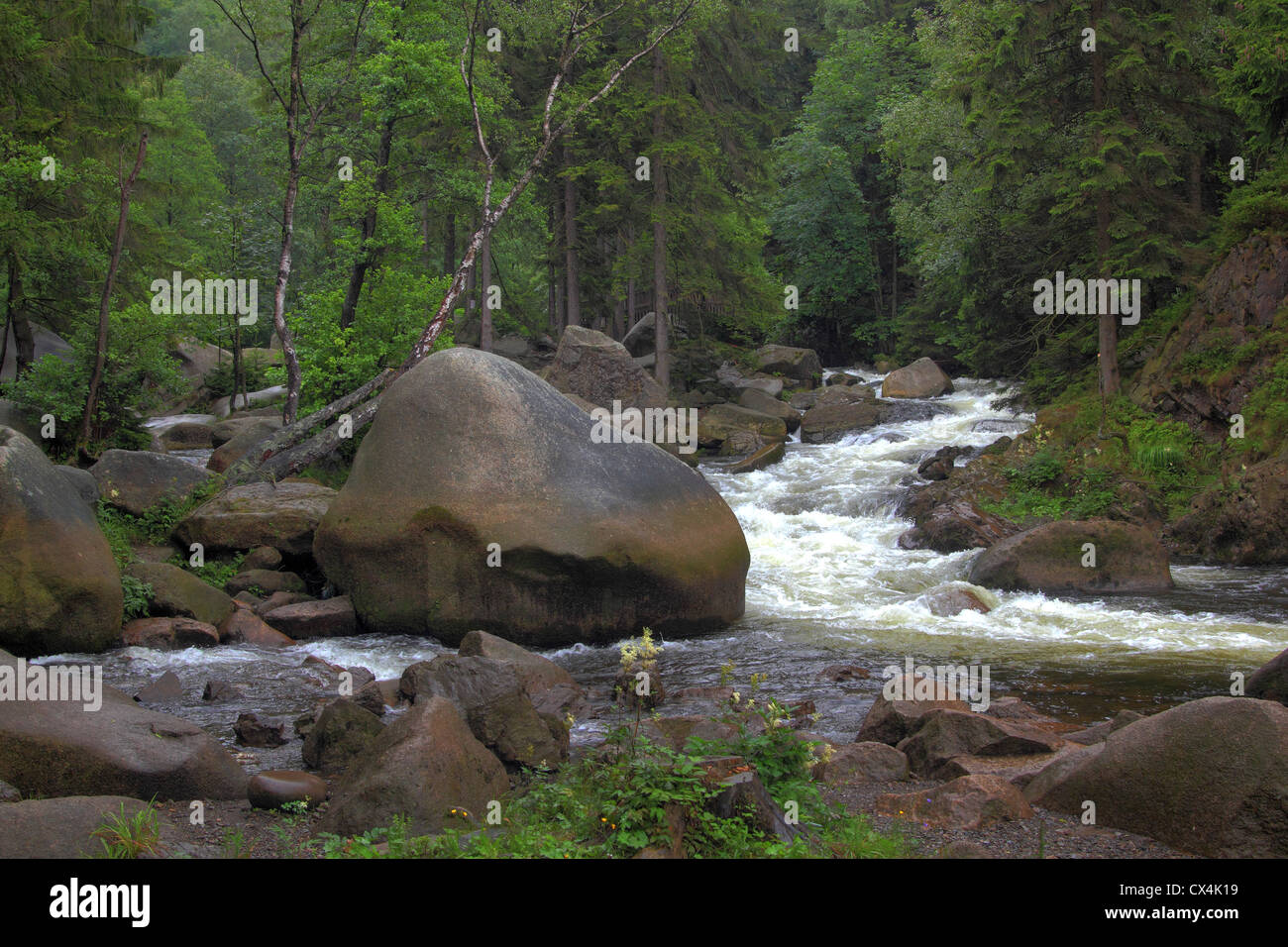 streambed of river oker in german harz region Stock Photo - Alamy