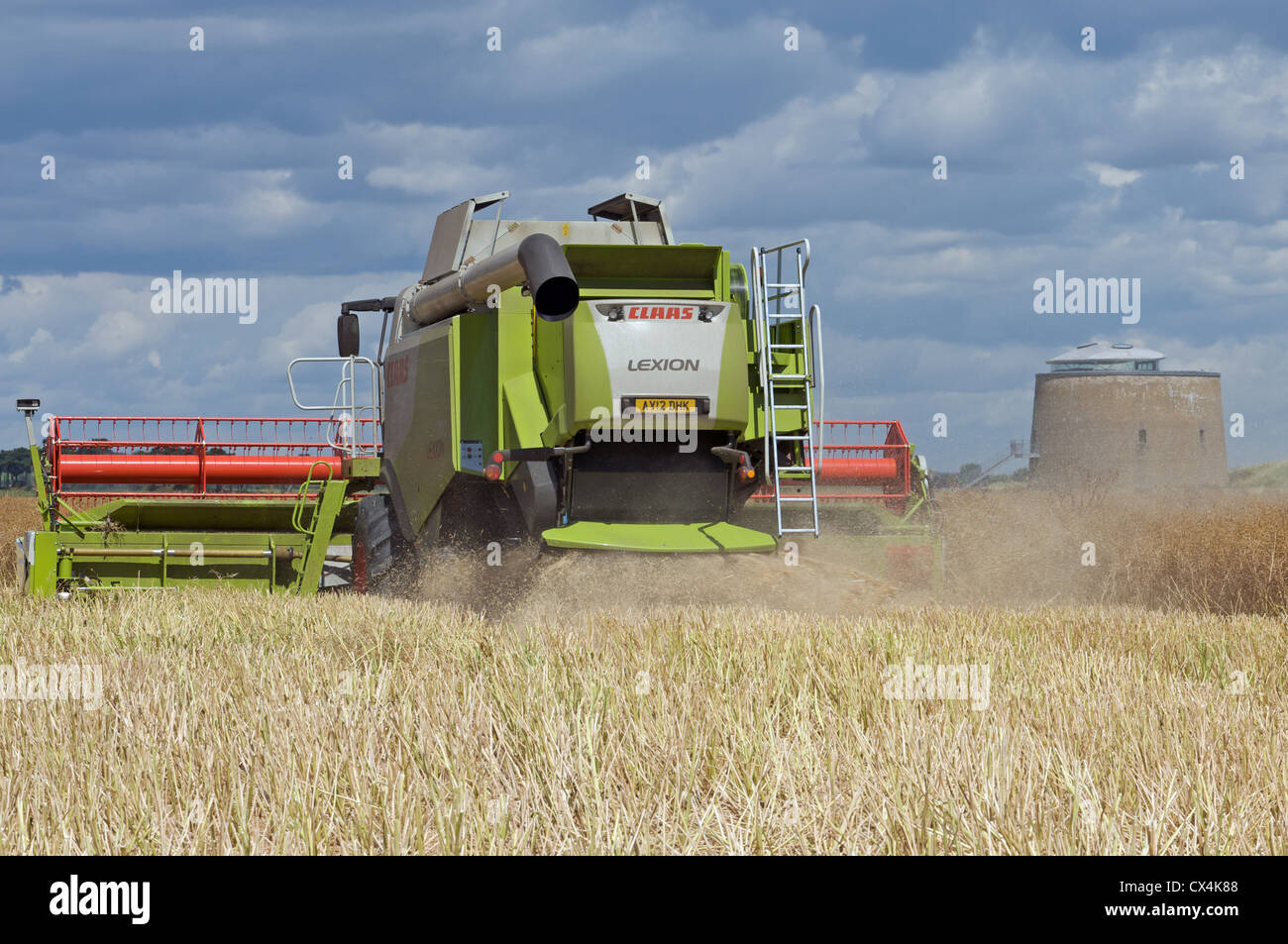 Combine harvester (Claas Lexion 740) cutting oil seed rape crop ...