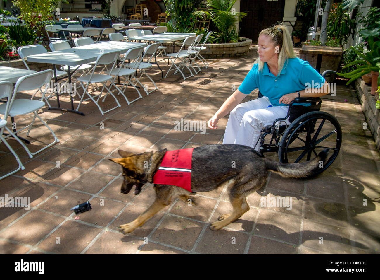 Service dog door wheelchair hi-res stock photography and images - Alamy