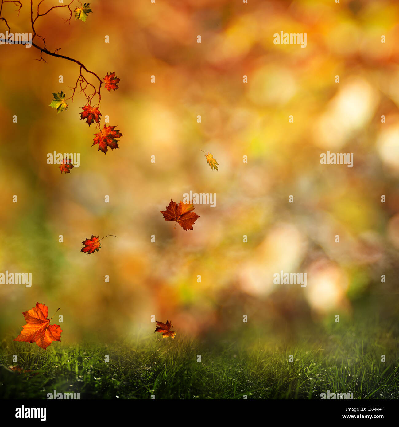 Autumn, abstract natural backgrounds for your design Stock Photo - Alamy