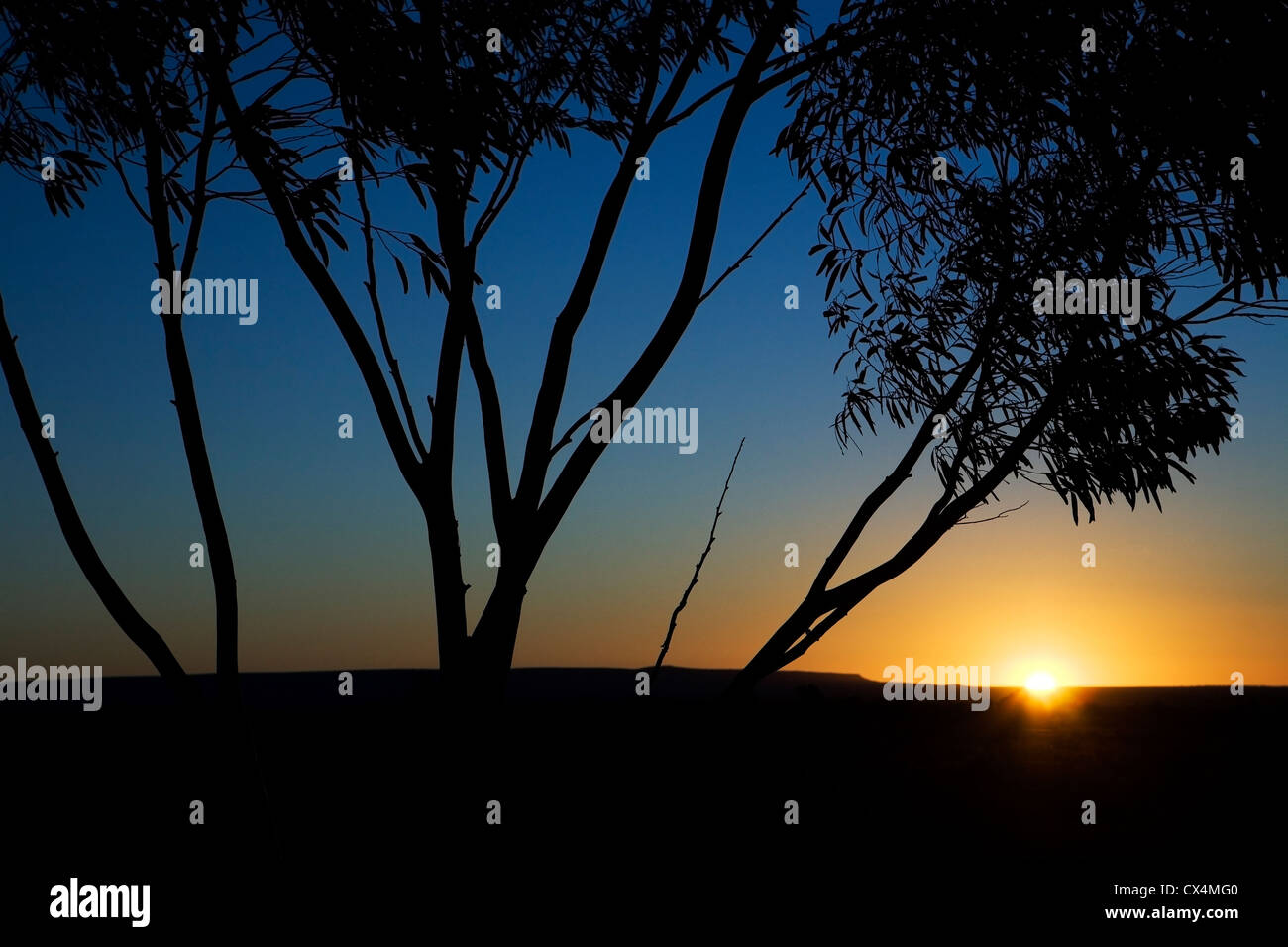 Australian, outback, australia, tree, sunset, water, tower, windmill ...