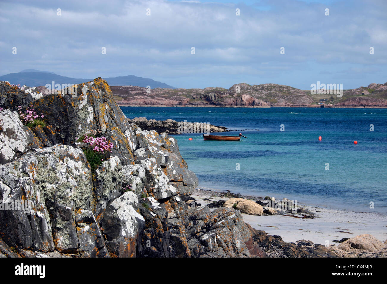 Seashore rocks and sea pinks Iona Scotland Stock Photo - Alamy