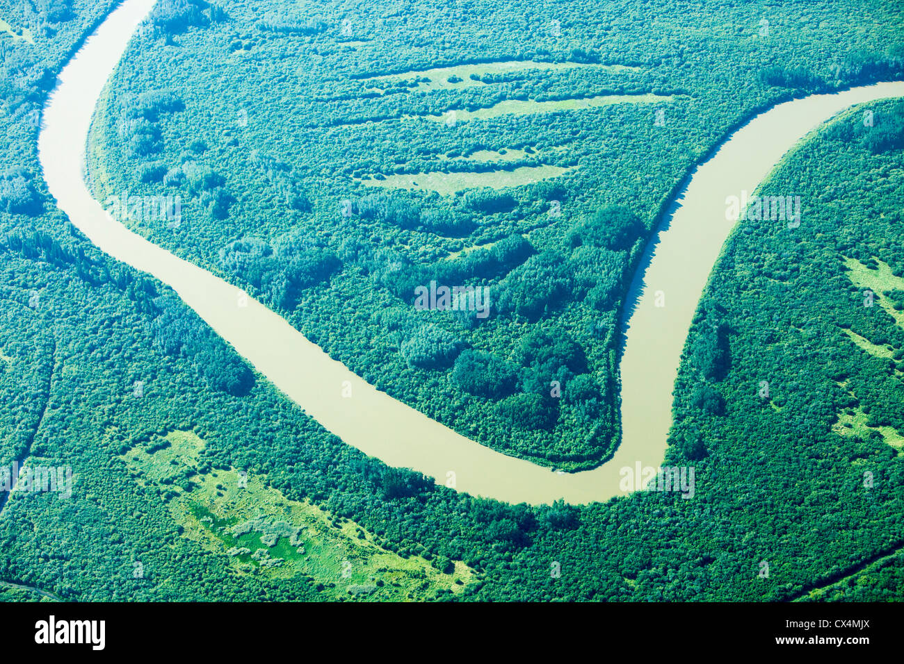 Boreal forest in Northern Alberta, Canada near Fort McMurray Stock ...