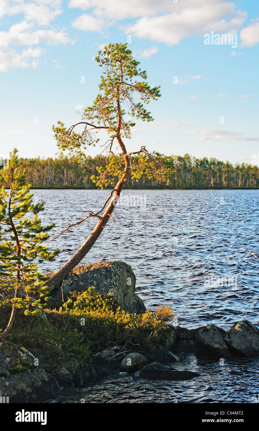 Image water surface sun beams hi-res stock photography and images - Alamy