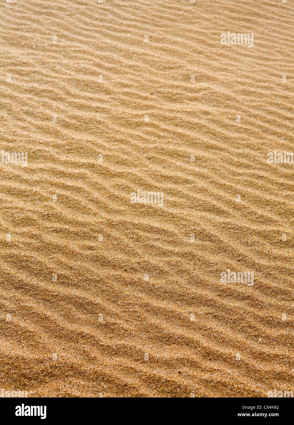 Beach sand waves warm texture pattern background Stock Photo - Alamy