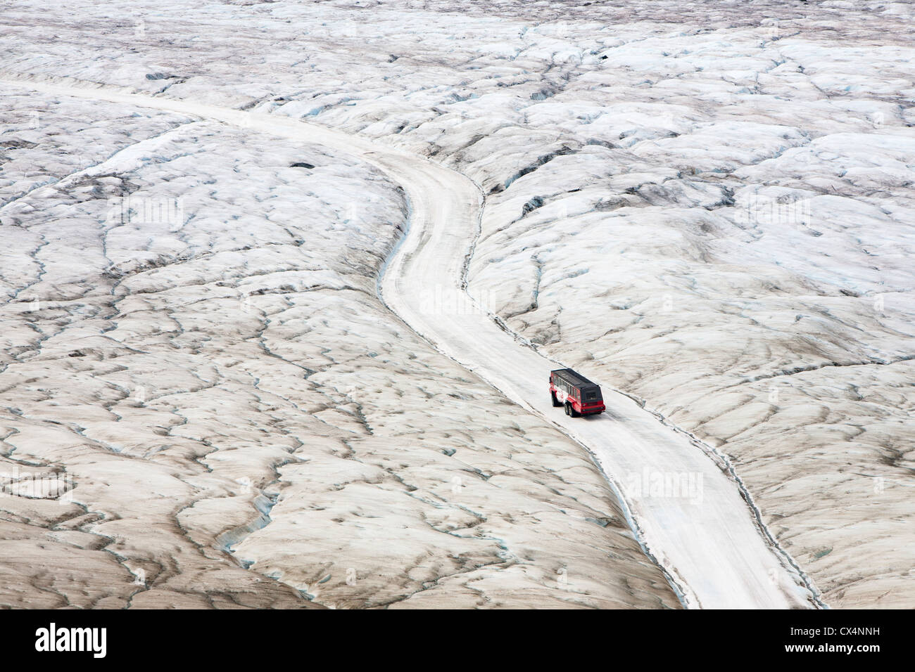 Tourist buggys on the Athabasca Glacier which has lost 60% of its mass ...