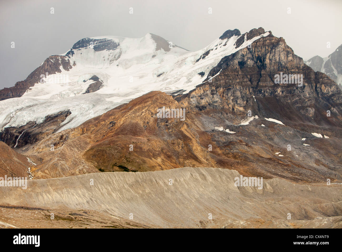 Lateral moraine showing the rate of retreat of the Athabasca glacier ...