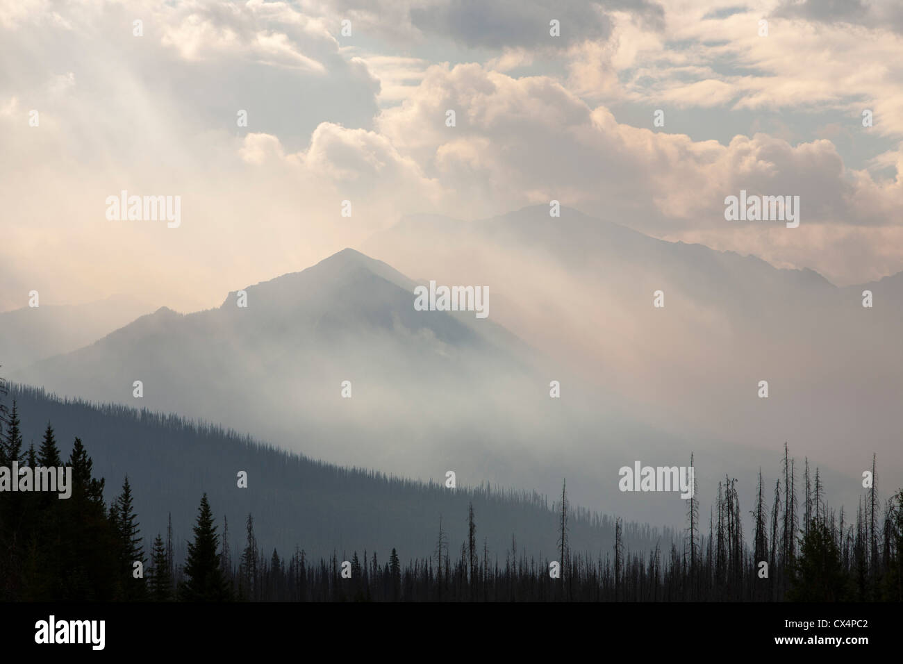 A forest fire on Octopus mountain in Kootenay National Park, British ...