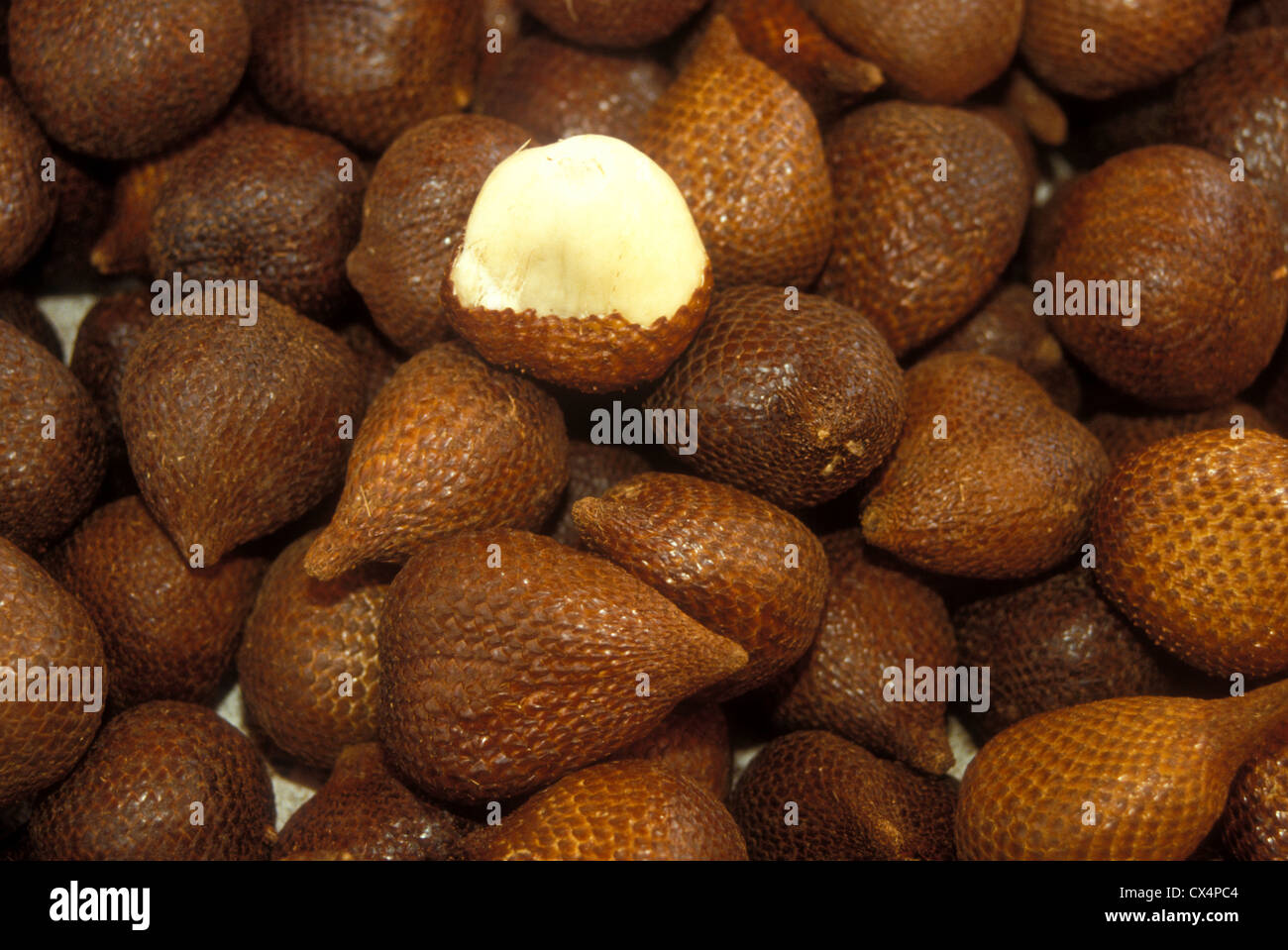 Salak, also known as snake-fruit from SE ASia Stock Photo - Alamy