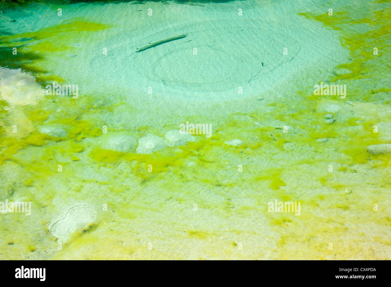The Ink Pots, natural springs above Johnson's Canyon in the Canadian ...