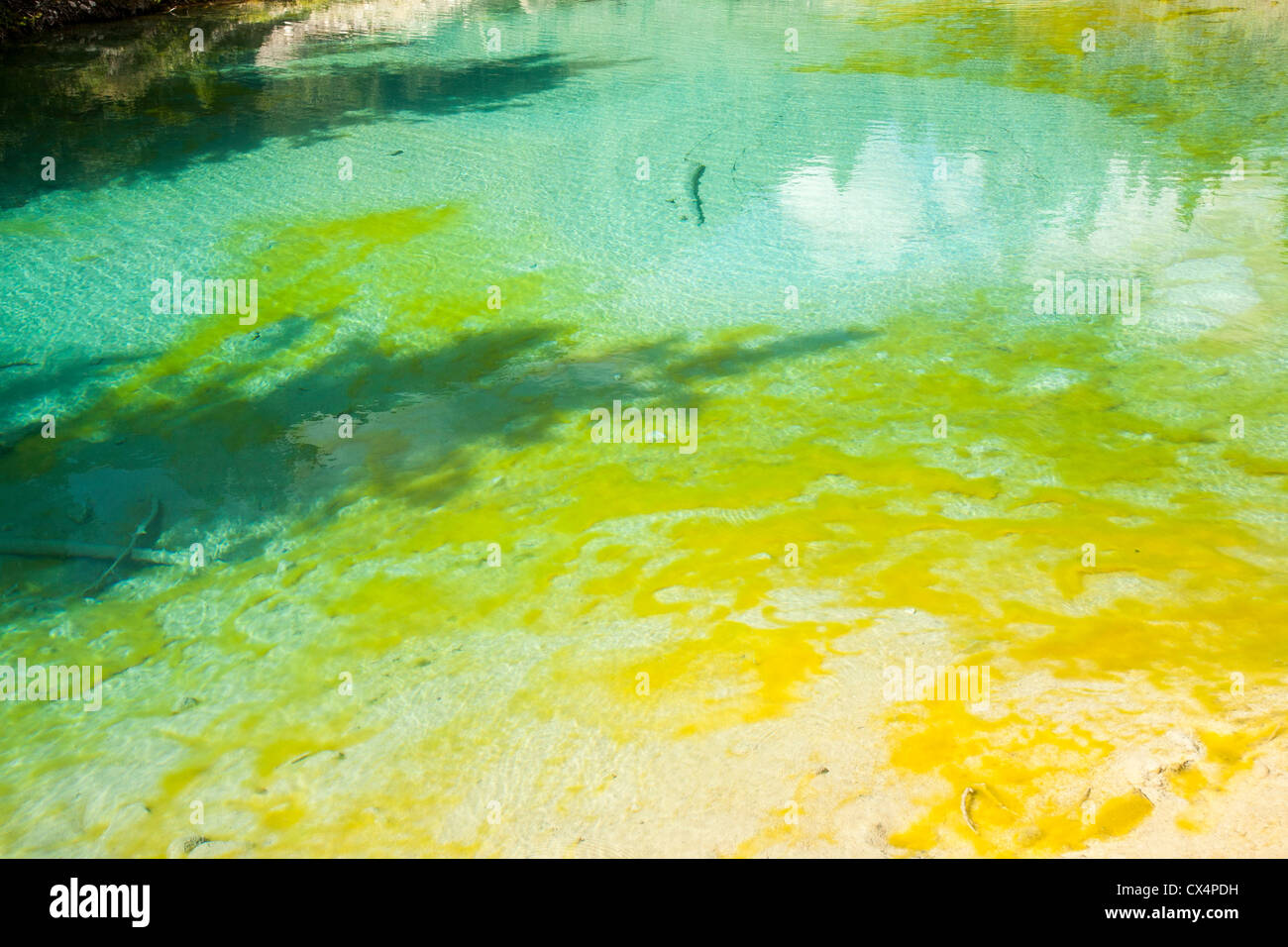 The Ink Pots, natural springs above Johnson's Canyon in the Canadian ...