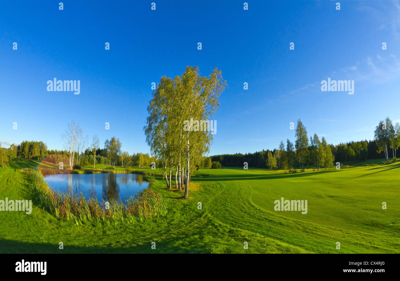 summer landscape with lake Stock Photo - Alamy