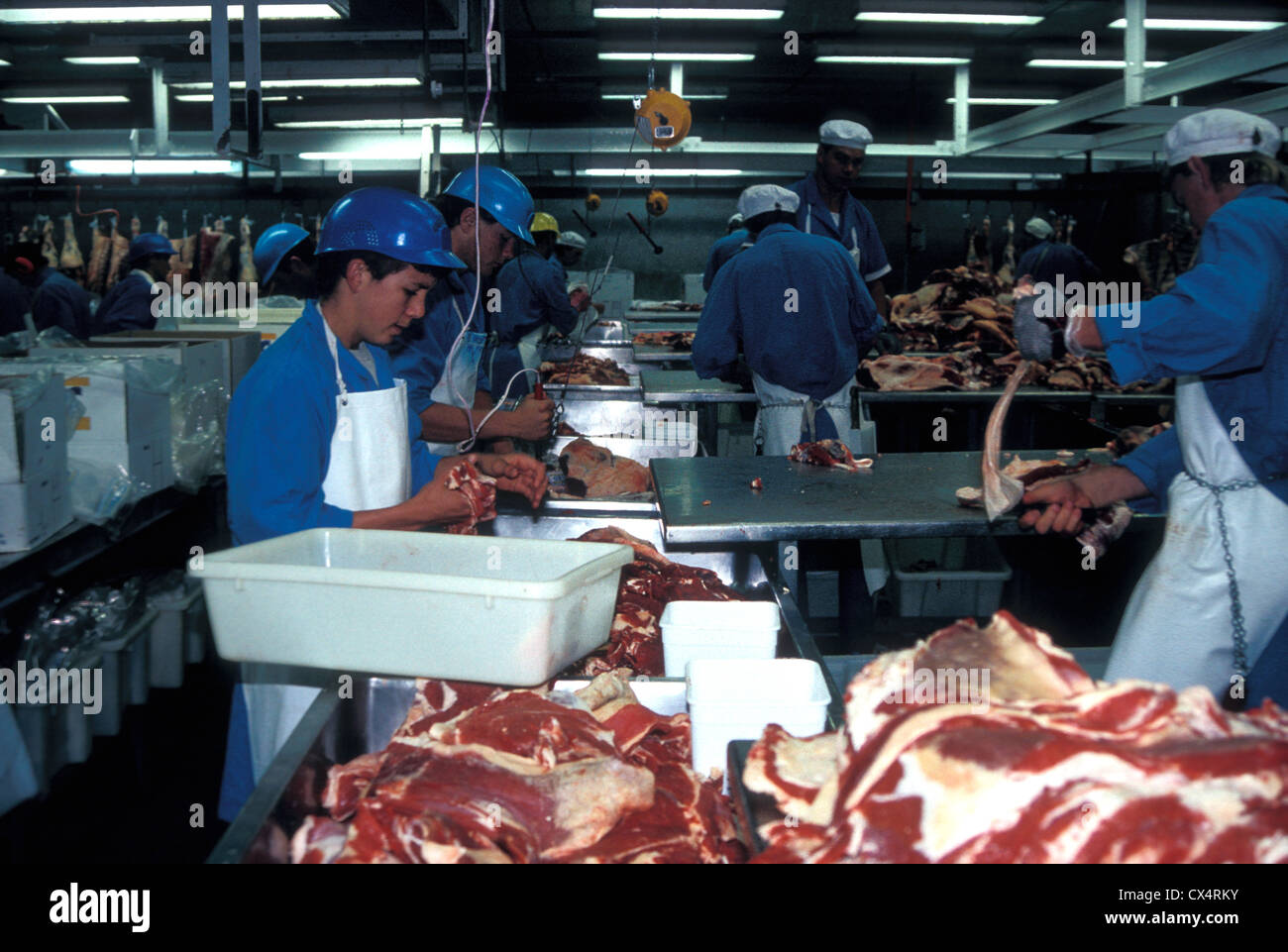 Meat factory workers hi-res stock photography and images - Alamy