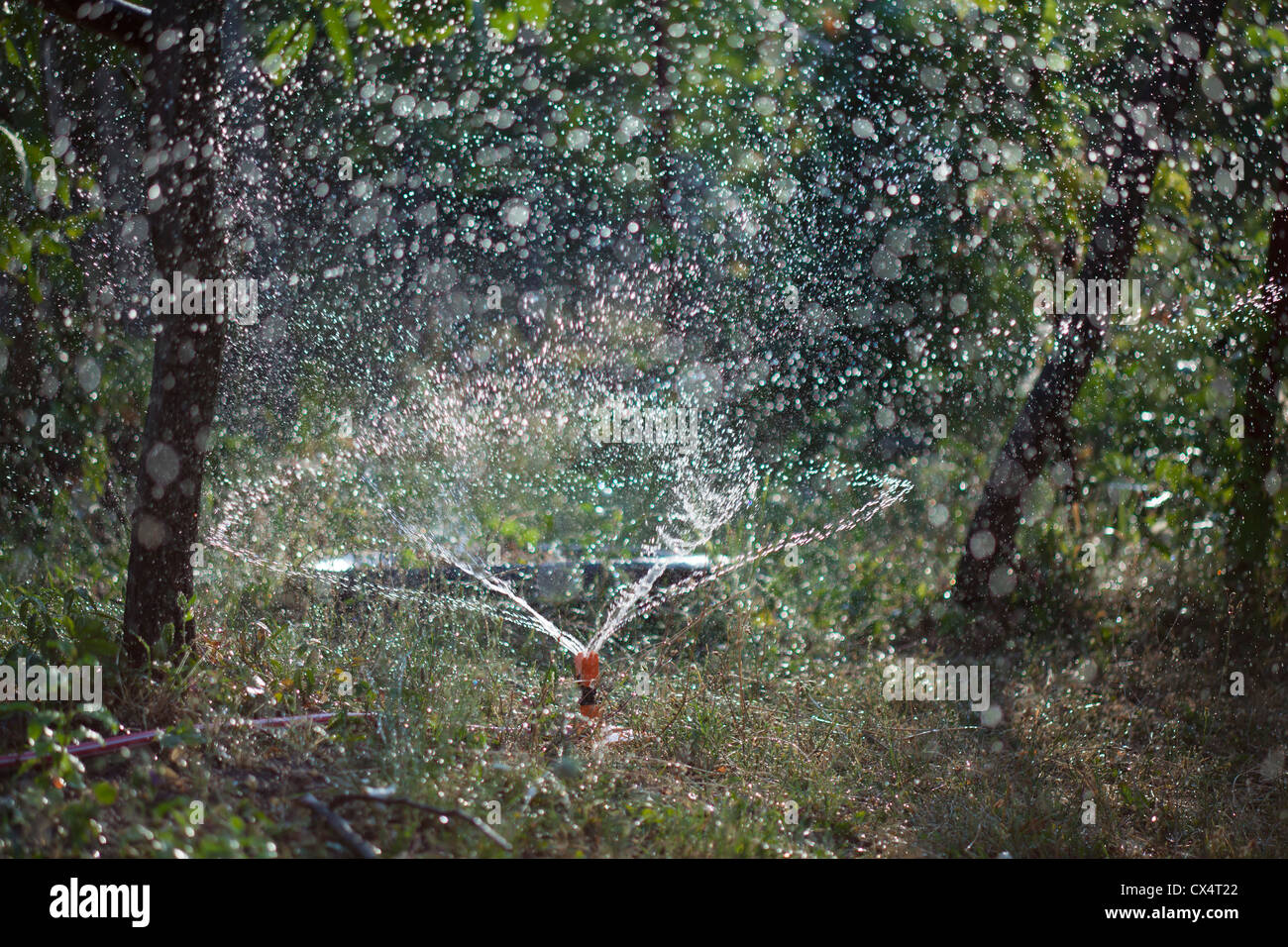 Agriculture - Irrigation system in field Stock Photo - Alamy