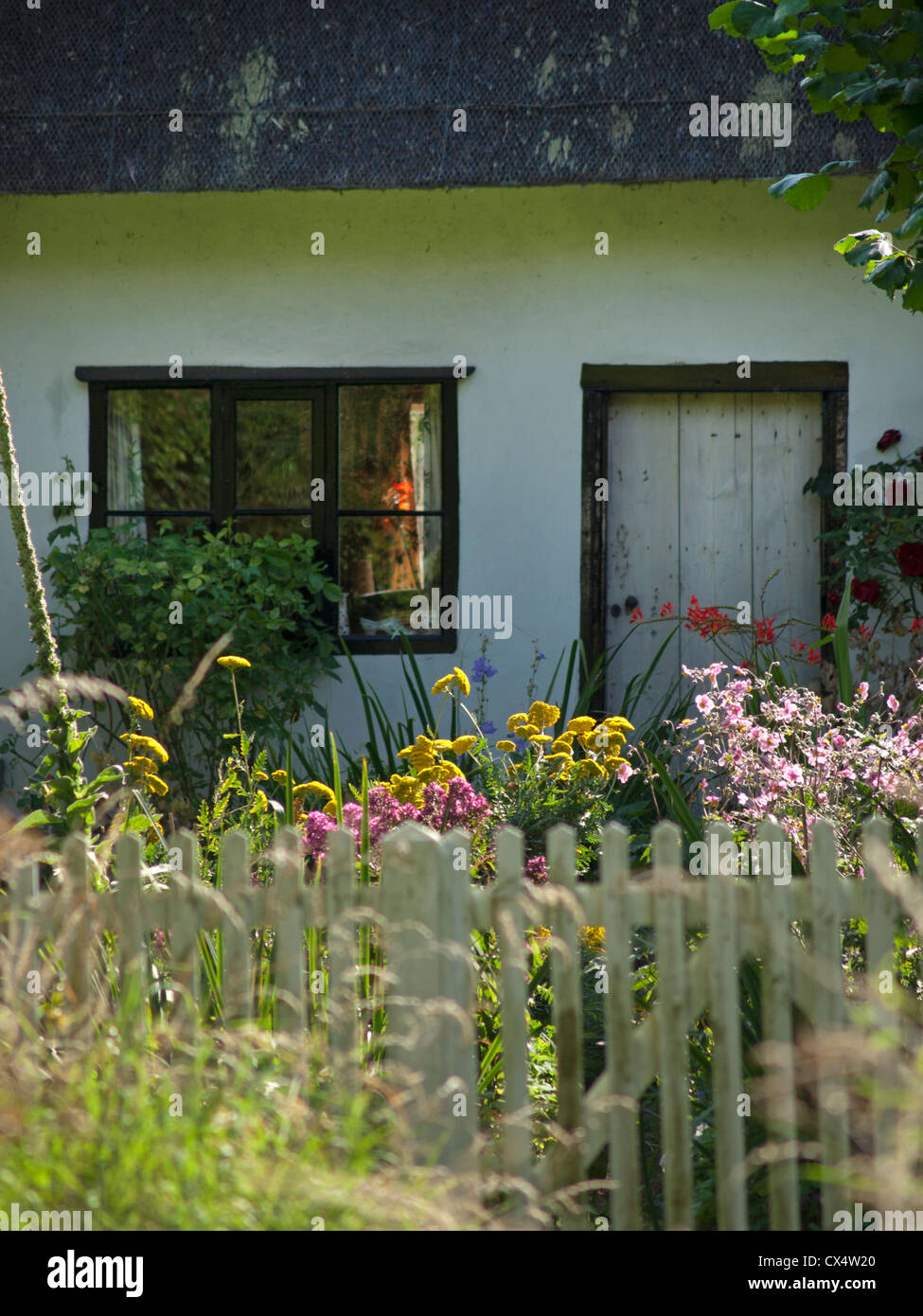 The front garden of a pretty little cottage in Suffolk Stock Photo - Alamy