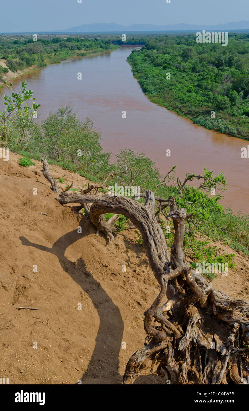 Omo River in Omorate Ethiopia Africa in Lower Omo Valley Stock Photo ...