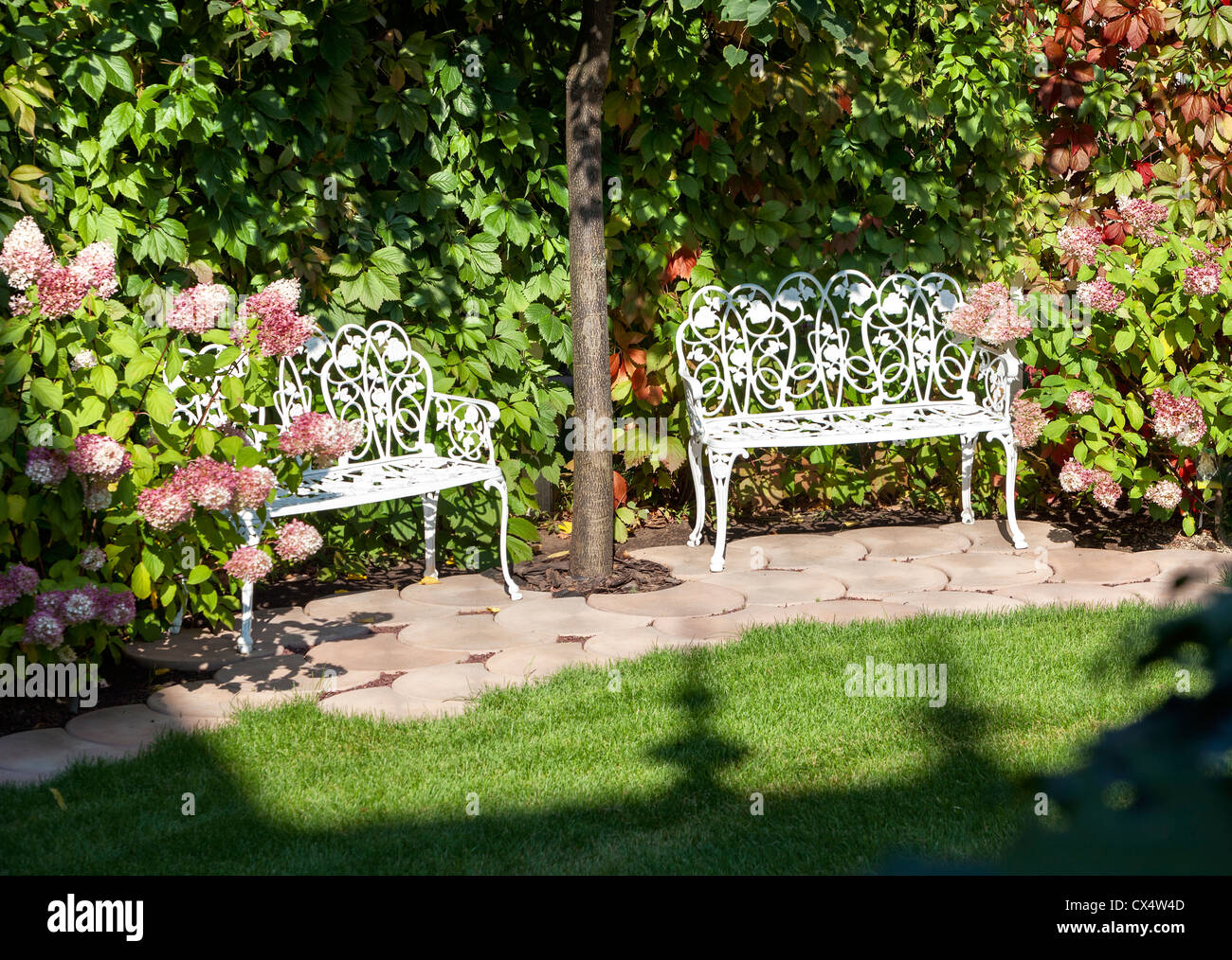 White benches in a summer garden Stock Photo - Alamy