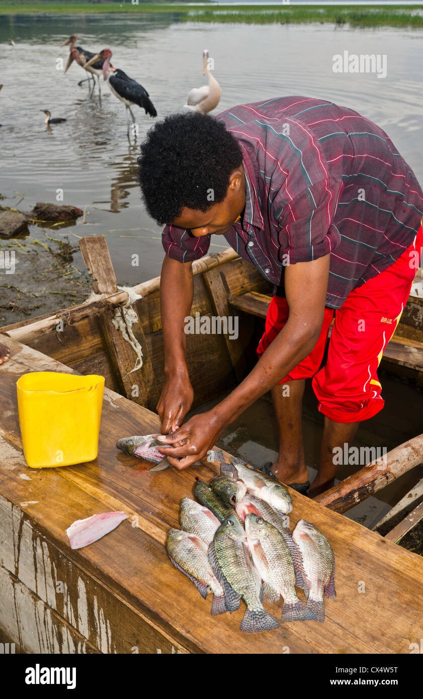 Fish Market at Lake Awassa in Awassa Ethiopia Africa fisherman ...