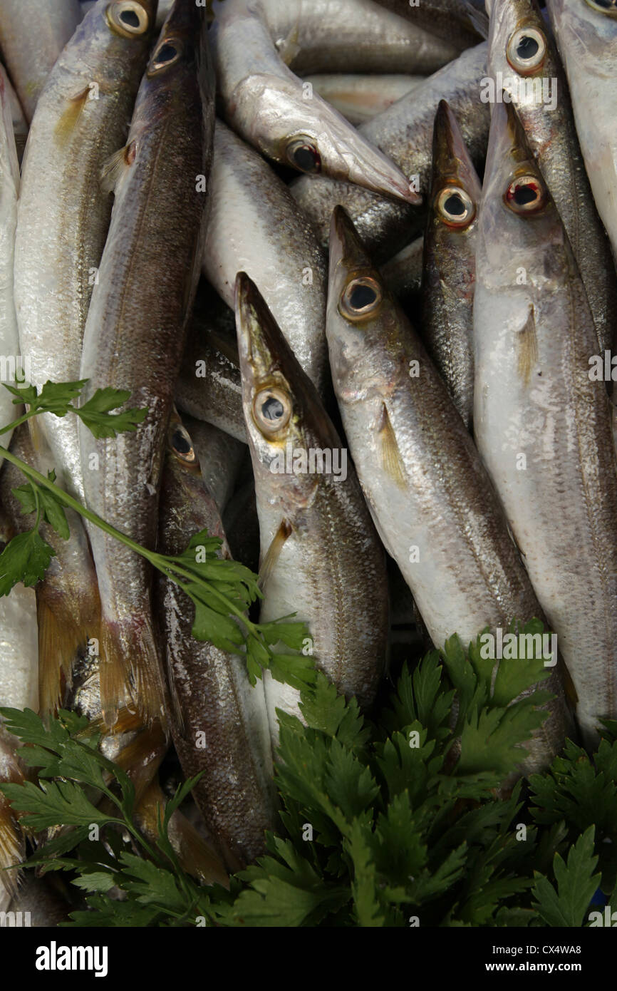 fish on display at a fishmonger Photographed in Acre, Israel Stock ...