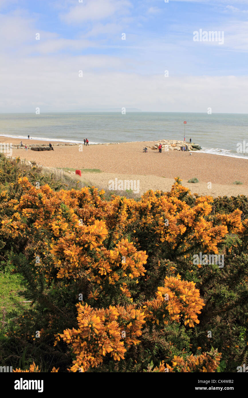 Highcliffe beach near Christchurch Dorset England UK Stock Photo - Alamy