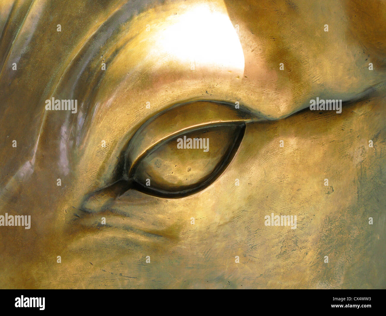 New york bull eye hi-res stock photography and images - Alamy