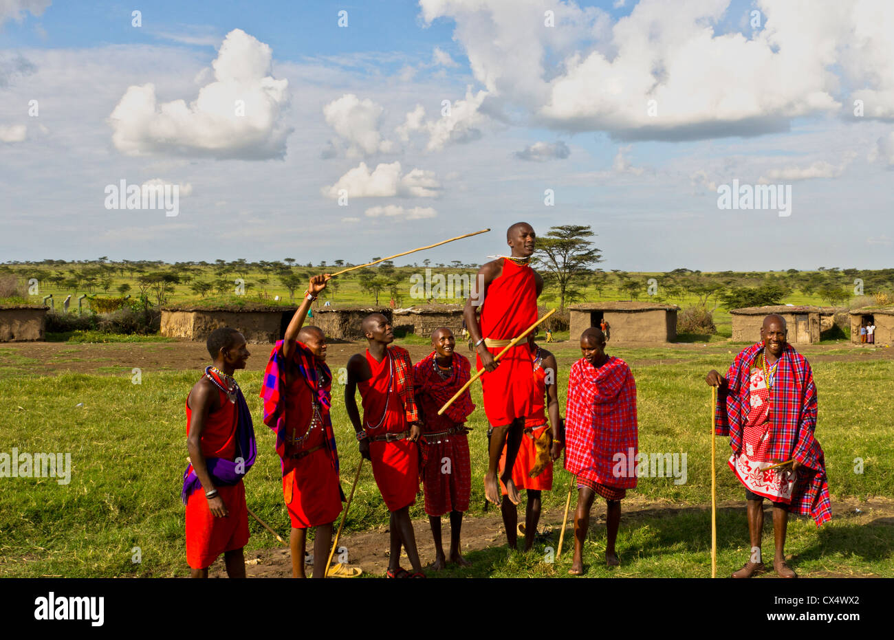 Masai Mara National Park Kenya Africa Masai warriors Maasai jumping ...