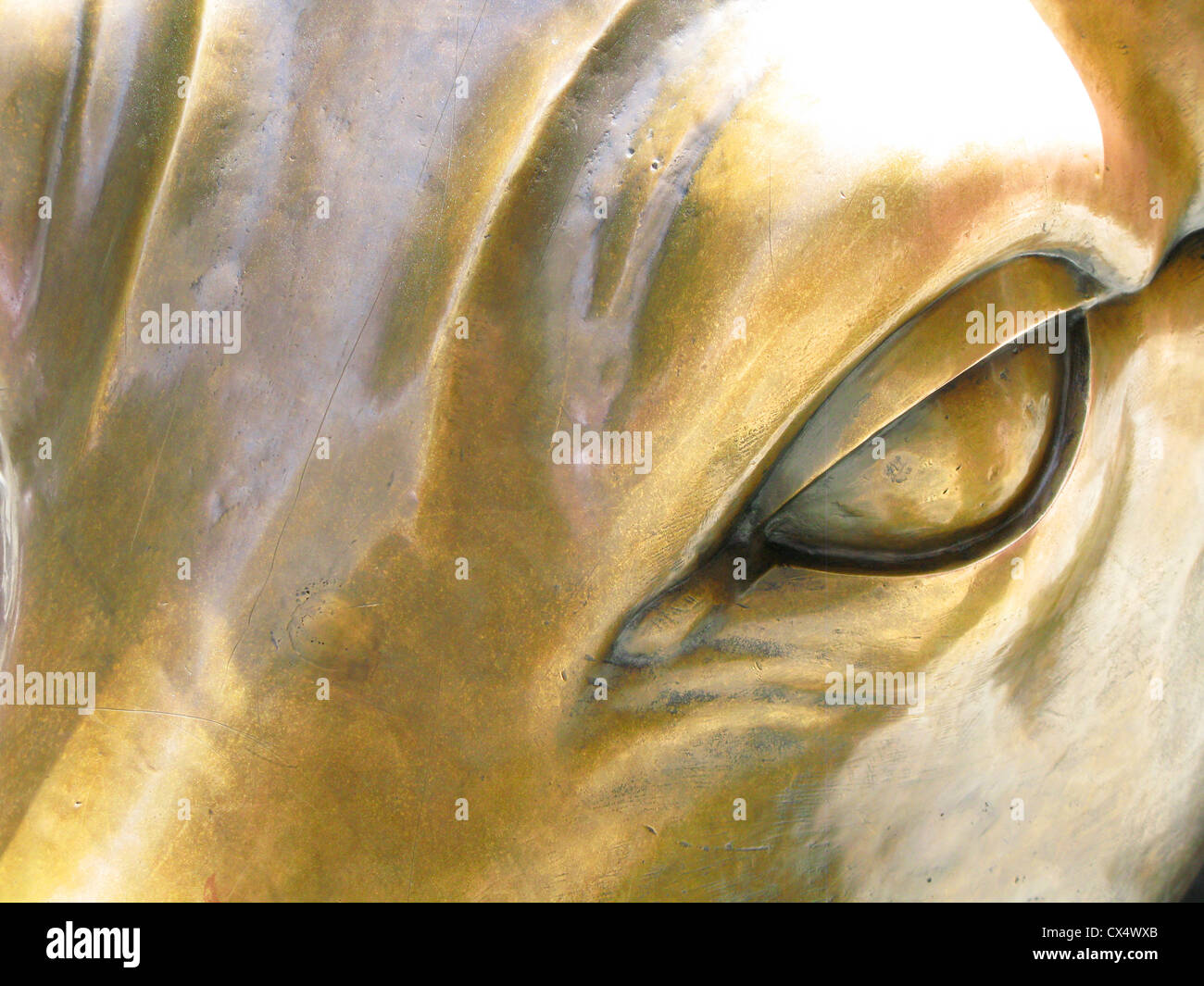 Bull eye hi-res stock photography and images - Alamy