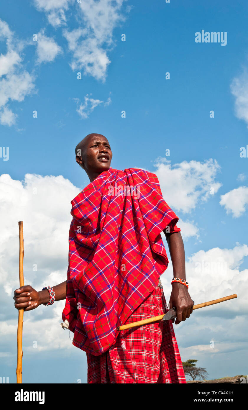Kenya Masai Mara Masai warrior in red traditional wrap and stick in ...