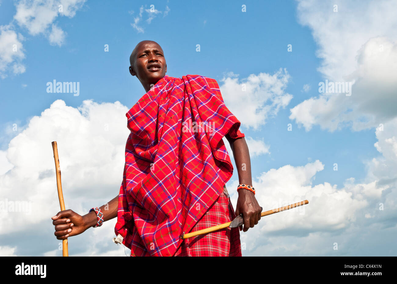 Kenya Masai Mara Masai warrior in red traditional wrap and stick in ...
