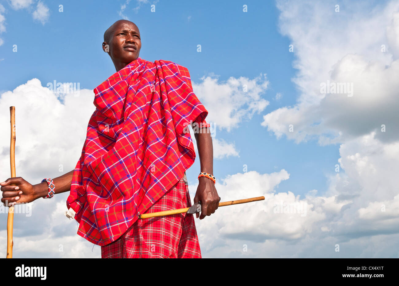 Kenya Masai Mara Masai warrior in red traditional wrap and stick in ...