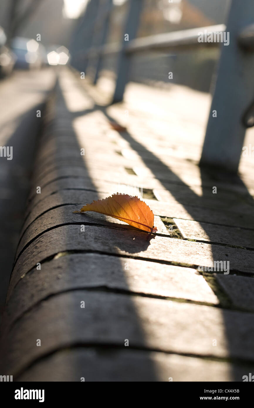 Urban leaf in railings hi-res stock photography and images - Alamy