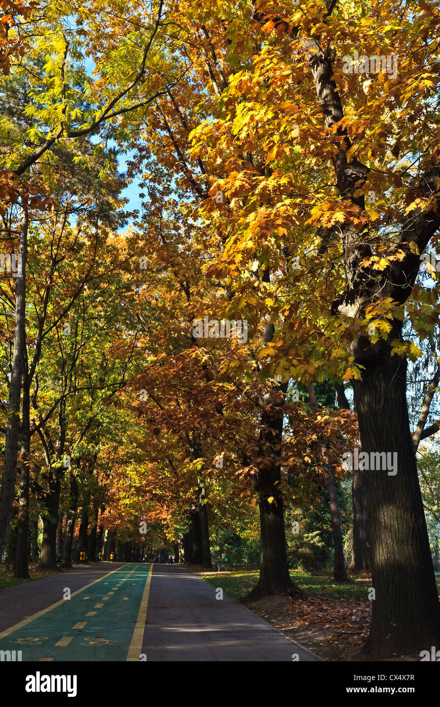 walk in the park Stock Photo - Alamy