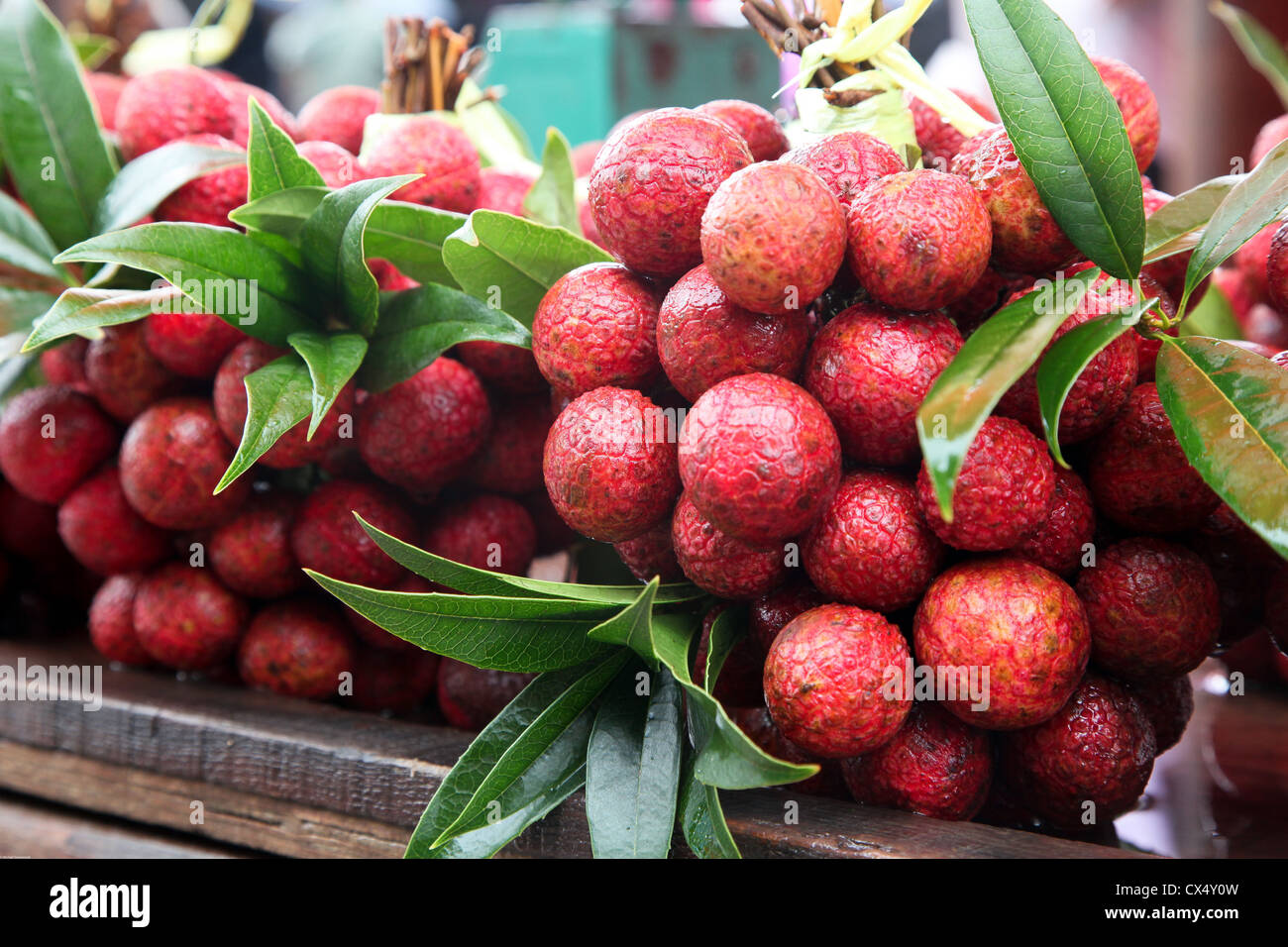 Soapberry and lychee hi-res stock photography and images - Alamy