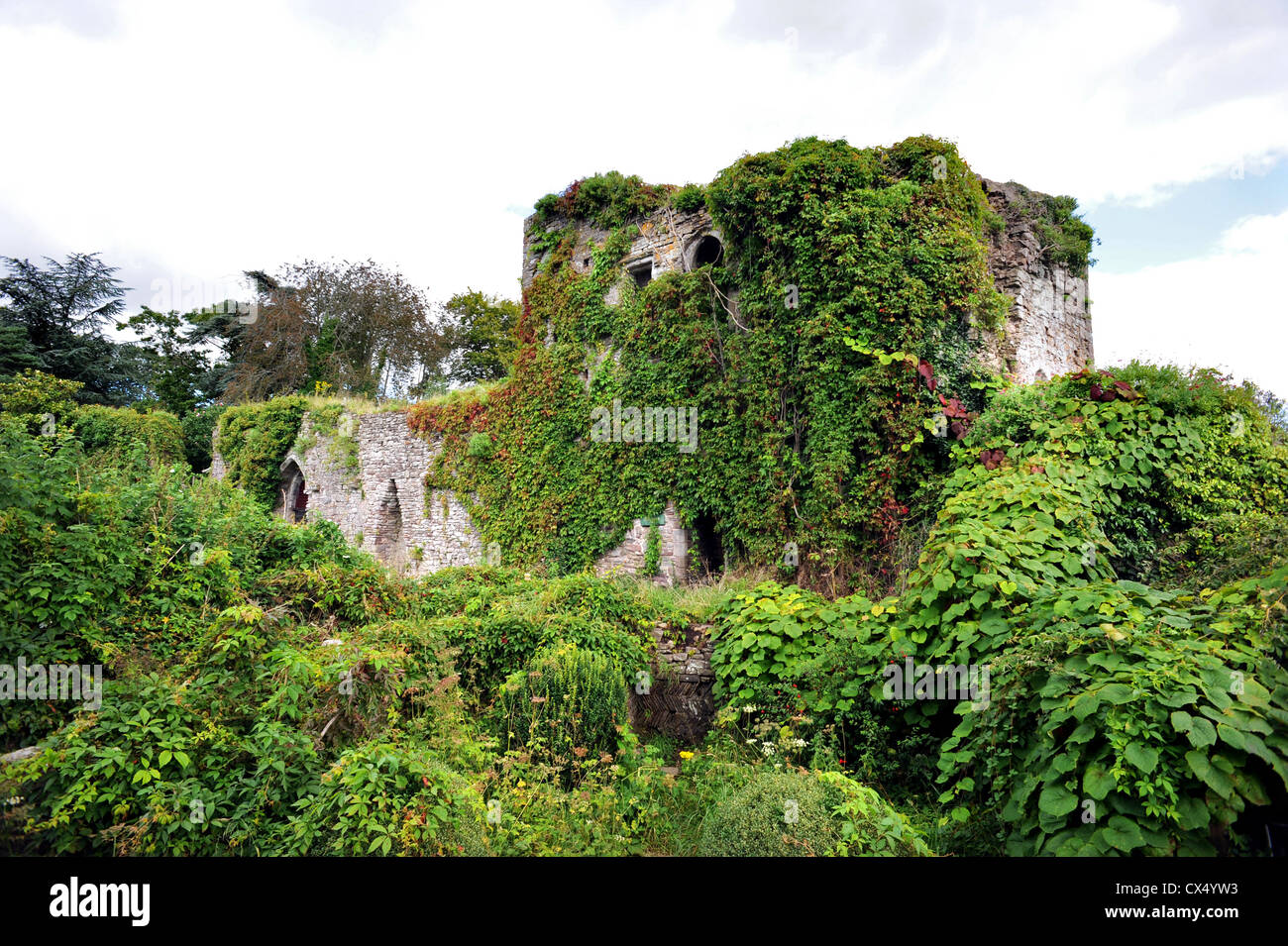 Usk Castle ruins open to the public - The ruined Keep Stock Photo - Alamy