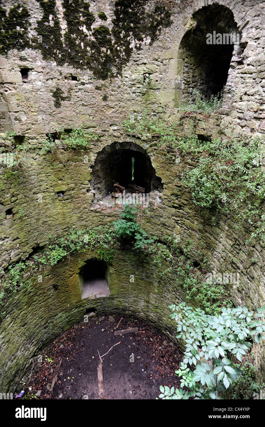 Usk Castle ruins open to the public - Inside the Garrison Tower Stock ...